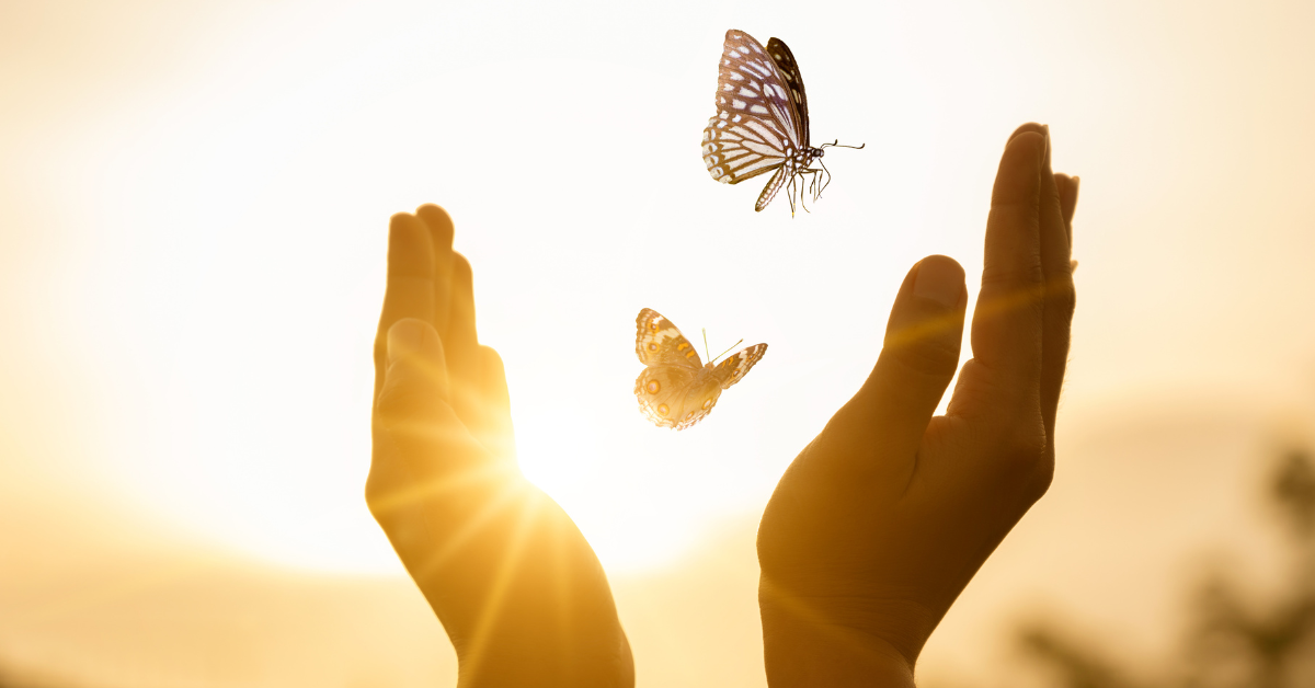 Reïncarnatie en vorige levens | Mediumchat